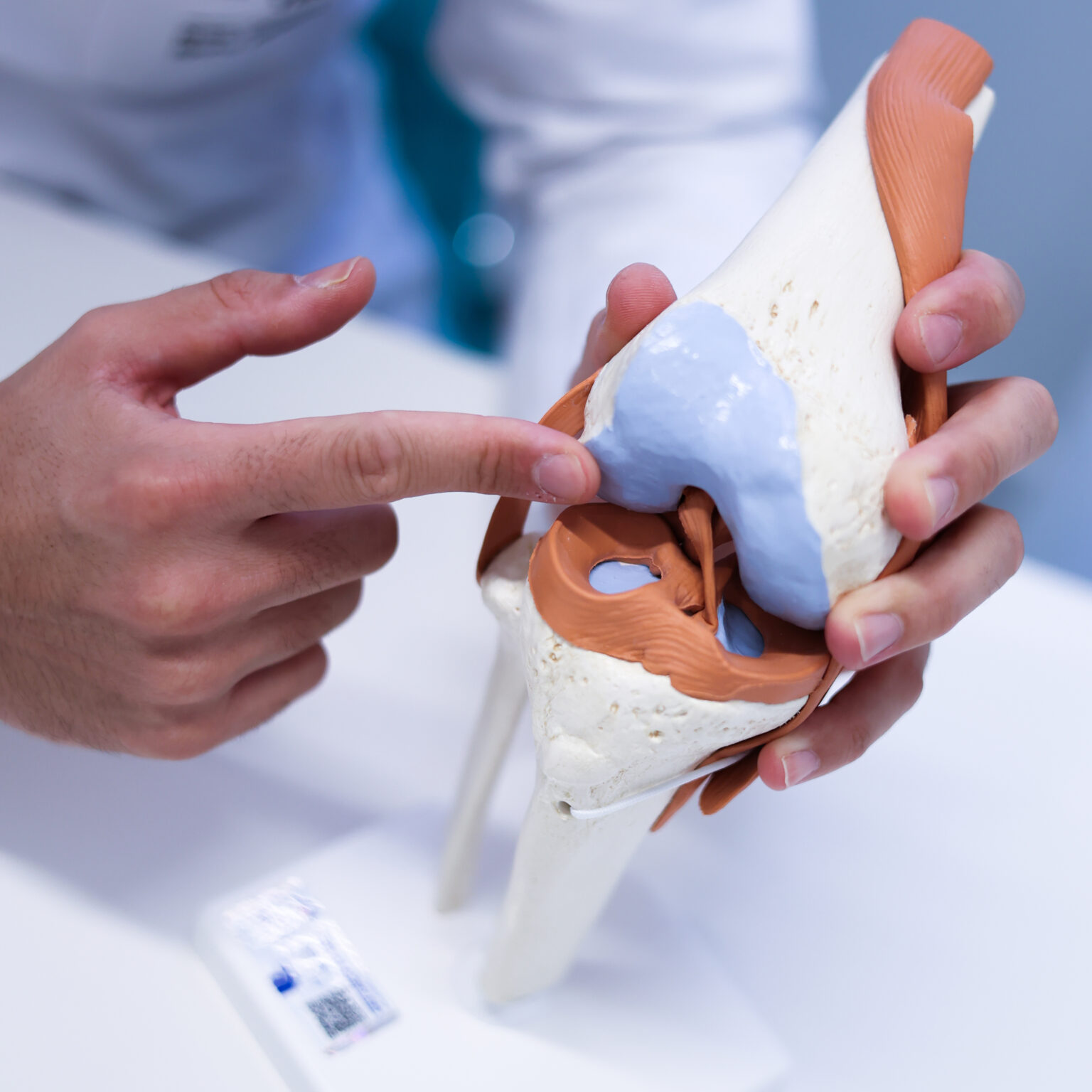 Lesões da Rótula – Dr. Gustavo Vinagre